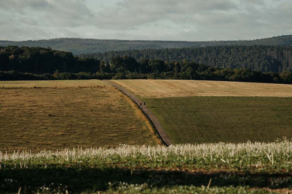 Ryzon | Performance Sports Apparel